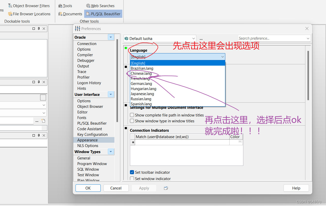 Plsql Developer 14 汉化教程(手把手)plsql汉化 Csdn博客
