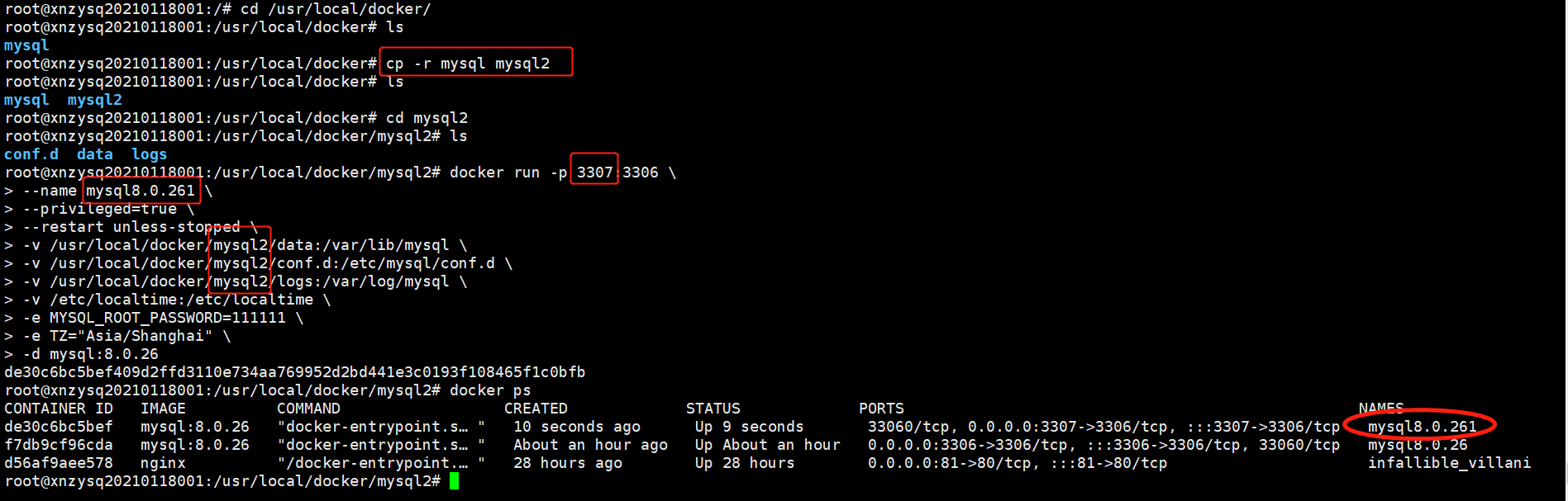 Docker教程-2-MySql容器的安装配置使用_mysql容器化部署,目录挂载,删除容器后怎么处理-CSDN博客