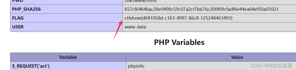 ctf-show信息模块练习_index.php.swp如何读源码-CSDN博客