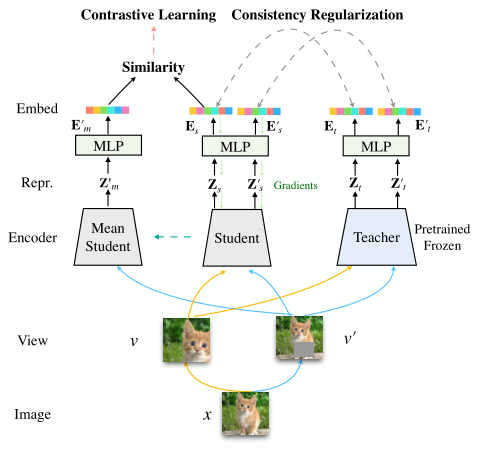 【读点论文】DisCo: Remedy Self-supervised Learning on Lightweight Models with ...
