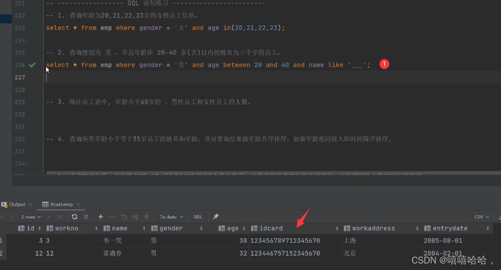 21 基础 Sql Dql 案例练习 Csdn博客
