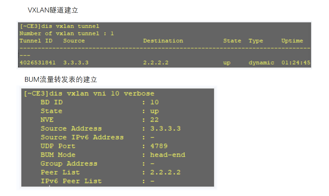 VXLAN+EVPN控制平面和数据平面交互过程分析_vxlan的控制平面和转发平面-CSDN博客