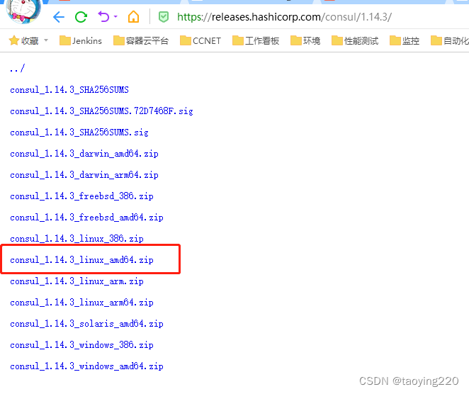 linux环境consul安装与_linux安装consul-CSDN博客