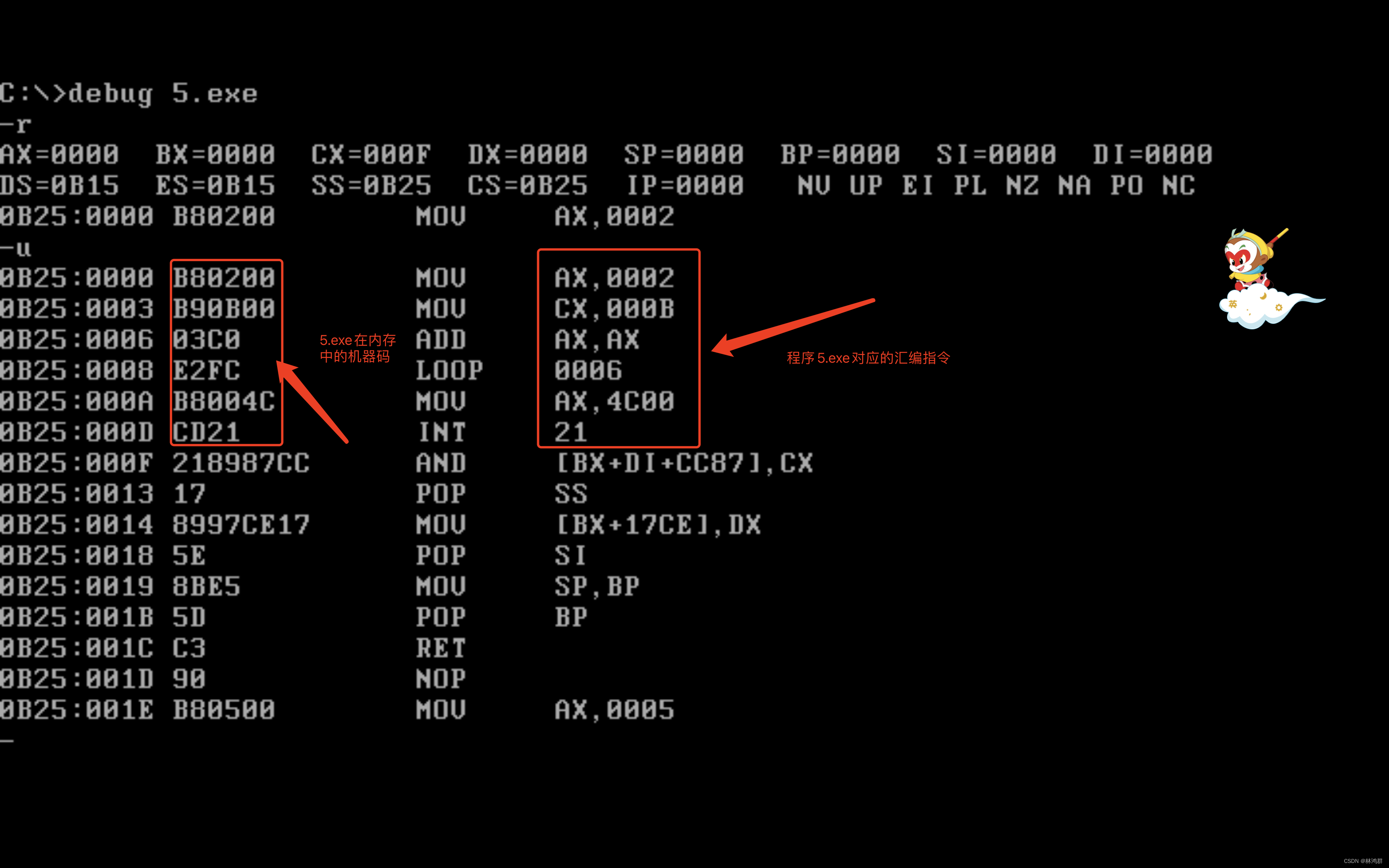 汇编中使用循环指令Loop_loop后面代码-CSDN博客