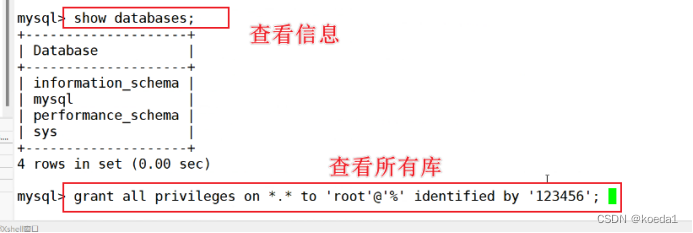 nginx和LAMP构建Discuz论坛_discuz nginx-CSDN博客