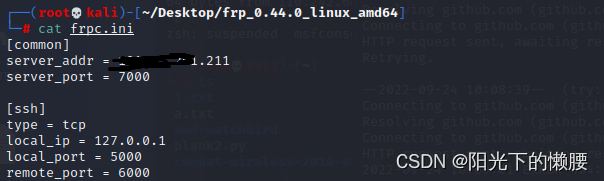 内网穿透-Frp--上线_frp 正向代理 上线cs-CSDN博客