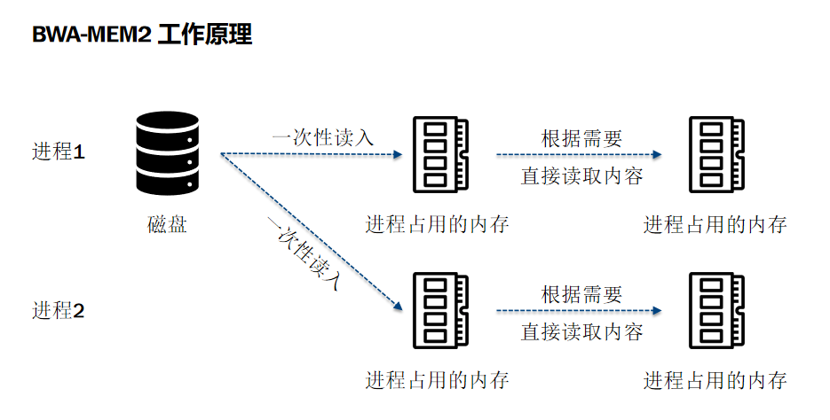 速度更快、适用于批量运行的bwa-mem-CSDN博客