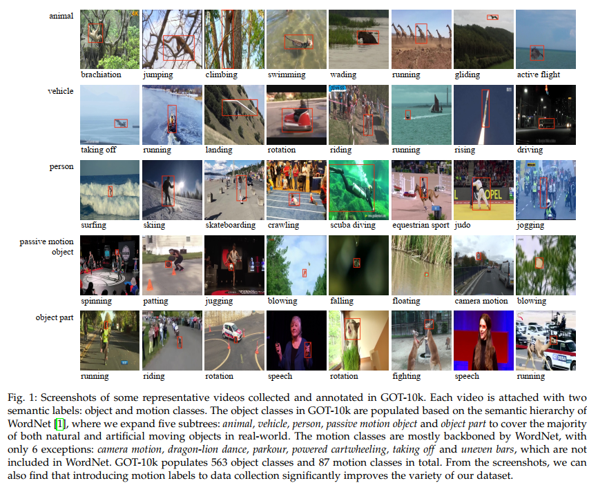 GOT-10k: A Large High-Diversity Benchmark forGeneric Object Tracking in the Wild（论文翻译）-CSDN博客