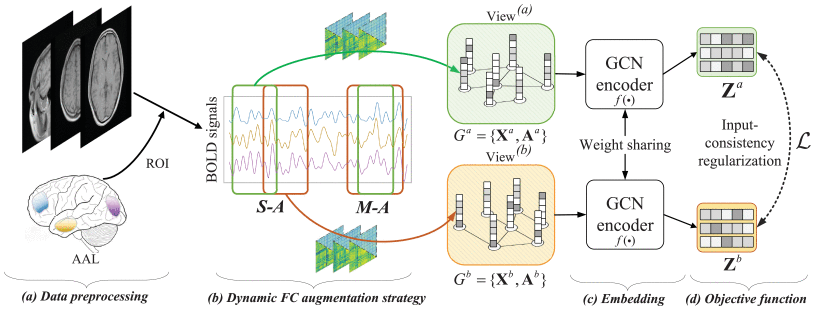 [论文精读]GATE: Graph CCA for Temporal Self-Supervised Learning for Label-Efficient fMRI Analysis-CSDN博客