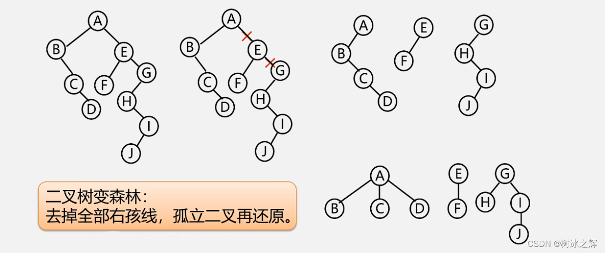 【数据结构】树与二叉树、森林与二叉树的转换数据结构中转换森林 Csdn博客 6548