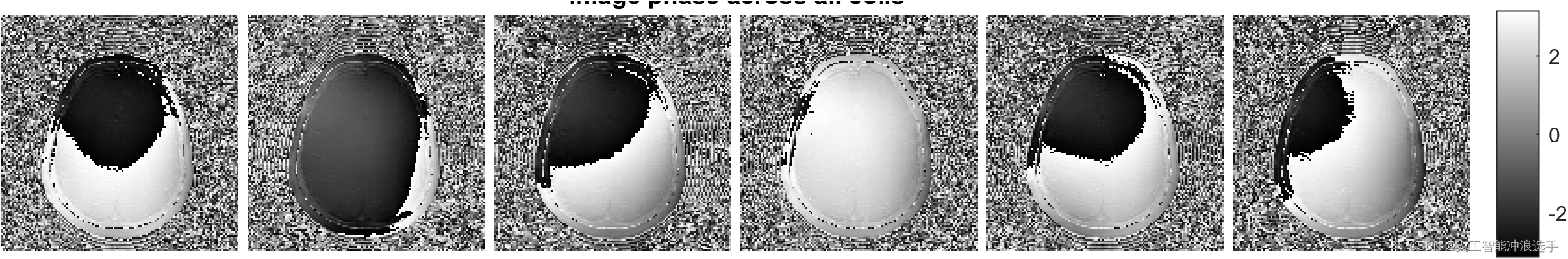 并行成像 之 Coil sensitivti map 估计 (绝对相位和相对相位)-CSDN博客