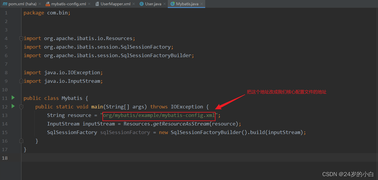 mybatis基本操作流程_mybatis 流程-CSDN博客