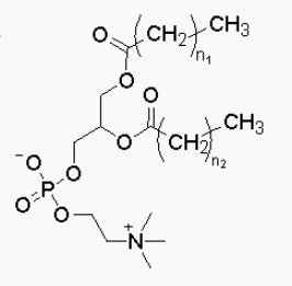 高纯氢化大豆磷脂（HSPC）结构式；CAS号：92128-87-5，科研级别试剂氢化大豆卵磷脂的介绍_氢化卵磷脂的结构-CSDN博客