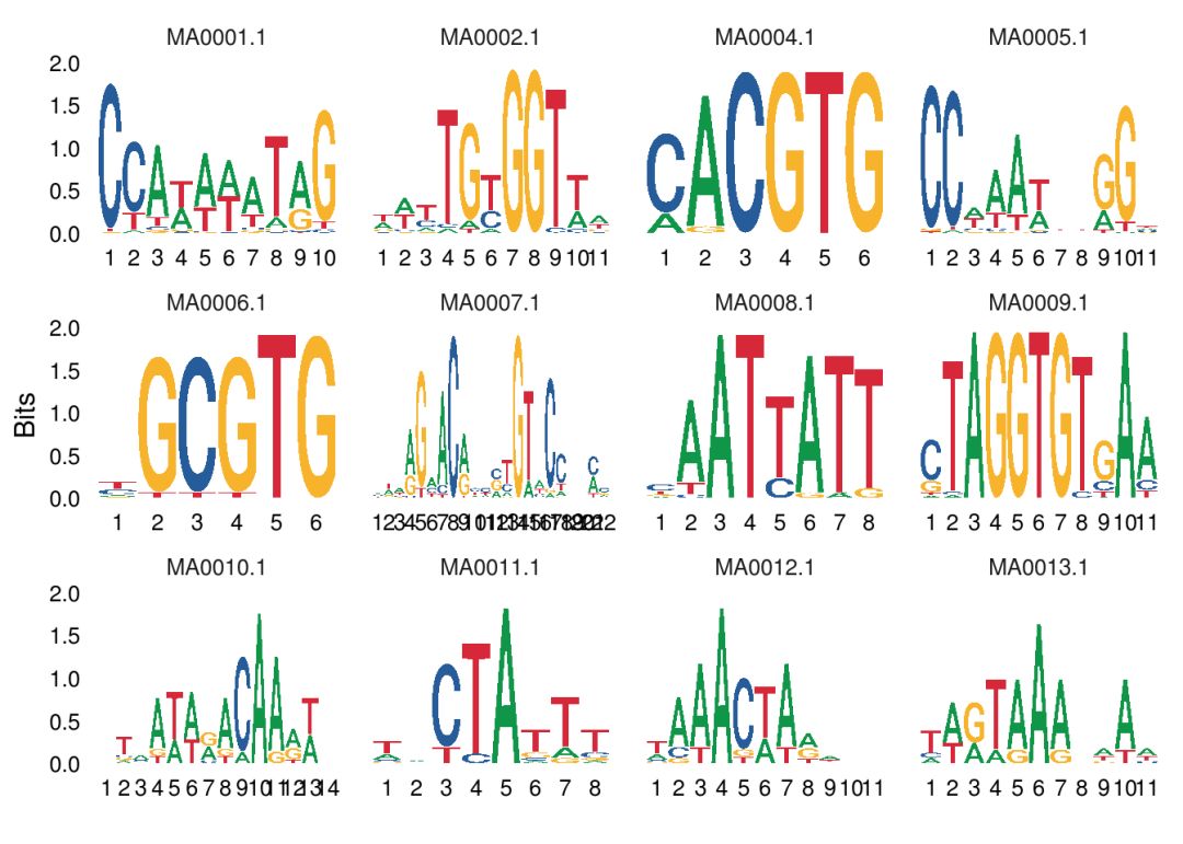 利用ggseqlogo绘制seqlogo图-CSDN博客