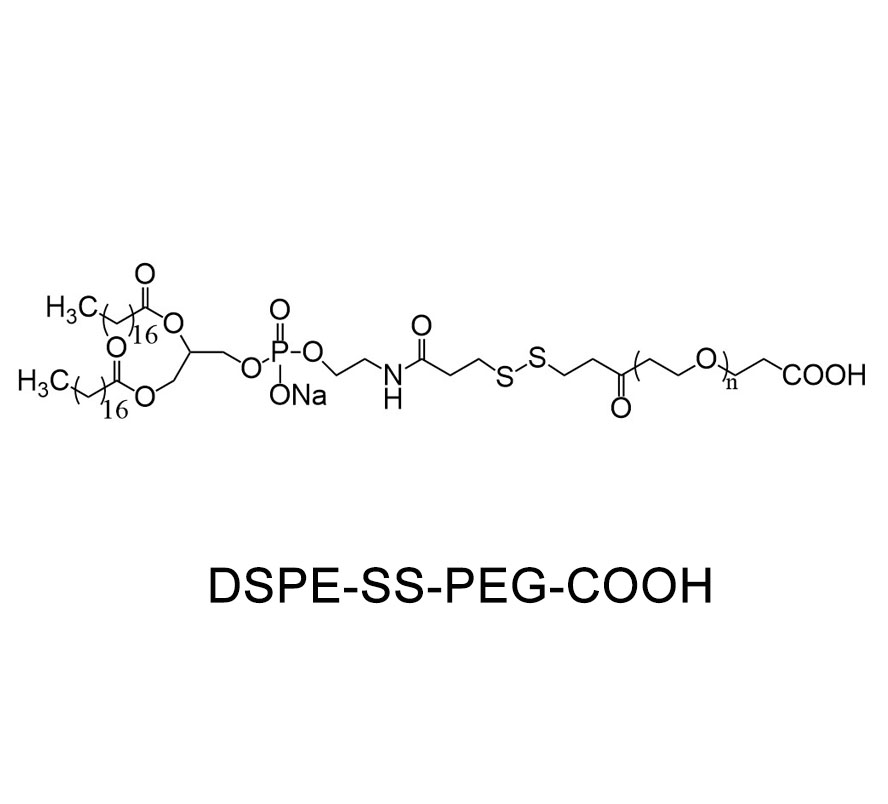 氧化还原型脂质体DSPE-SS-PEG-COOH磷脂-双硫键-聚乙二醇-羧基的用途-CSDN博客