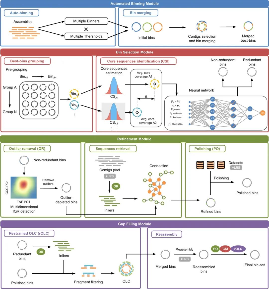 官方使用文档 | 最好的分箱工具BASALT-v1.0.1配置及中文使用说明（2024.04）-CSDN博客