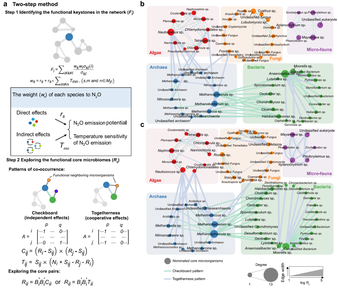 mBio | 中科院南京土壤所孙波/梁玉婷组揭示跨界互作对稻田N2O排放的影响-CSDN博客
