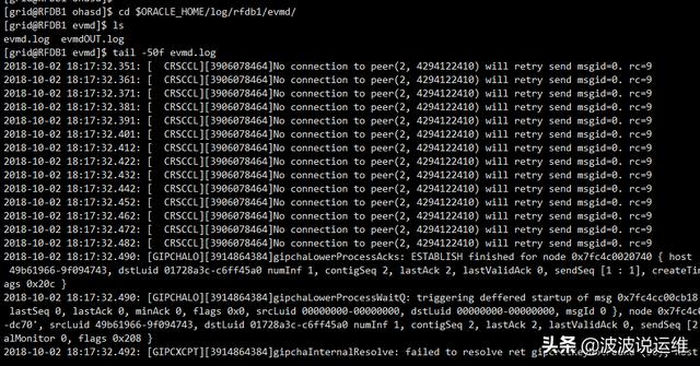 文件 Oracle 详解oracle数据库rac11g常用日志文件及其路径 Csdn博客