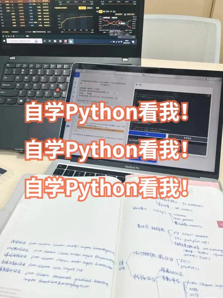 自学python能干些什么副业自学python可以赚钱吗 Csdn博客 