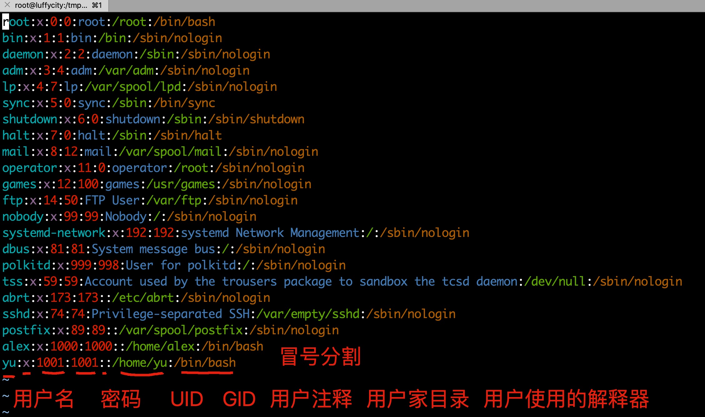 Linux用户管理-CSDN博客
