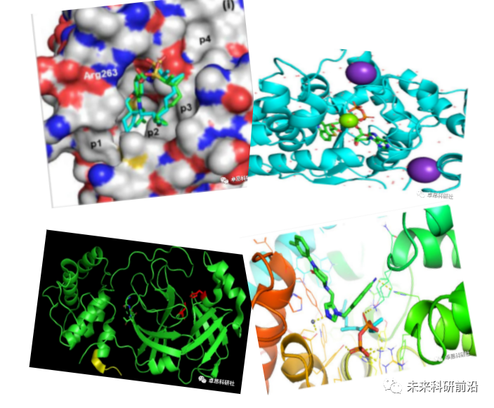 CADD分子对接-机器学习代谢组学-AIDD人工智能药物发现与设计_aidd神经网络-CSDN博客