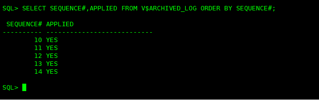 Oracle 11g DataGuard搭建保姆级教程_oracle 11g dg搭建-CSDN博客