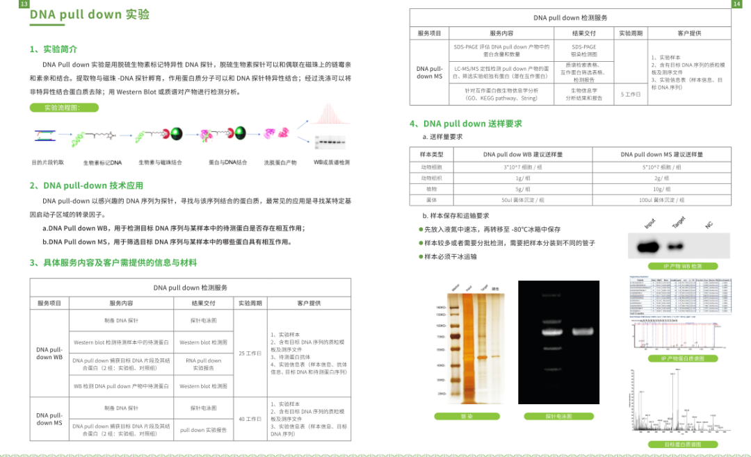 RIP实验步骤(RNA Immunoprecipitation)_input rna_avareart的博客-CSDN博客