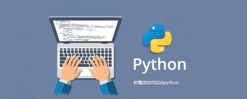 树莓派python安装完了在哪启动树莓派如何启动python Csdn博客
