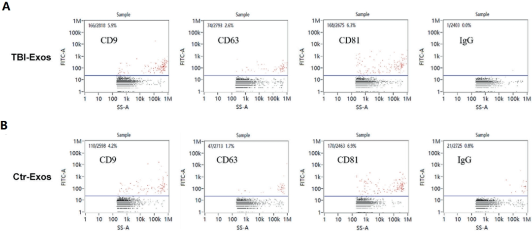 从MISEV2023中寻找外泌体标志物 WB阴性的解决方案-CSDN博客
