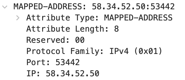 STUN协议详解-CSDN博客