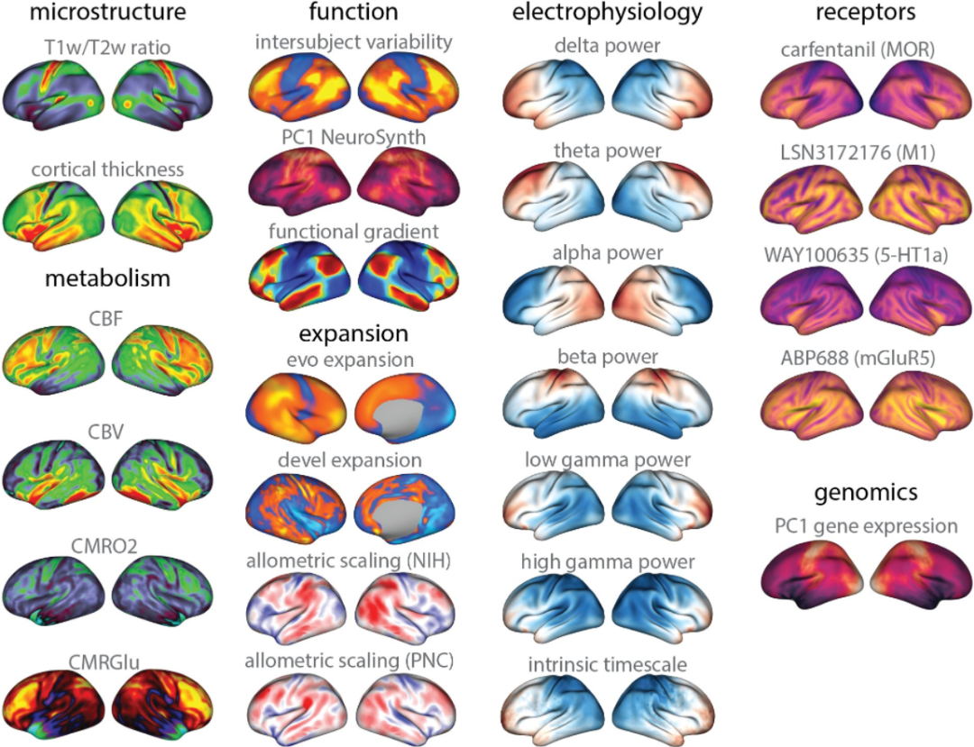 一批PET map来袭-CSDN博客
