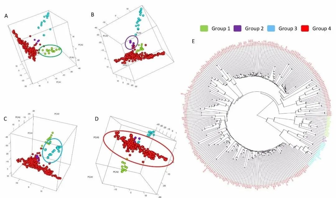 GAPIT 3.0：全基因组关联分析与预测软件最新版发布-CSDN博客
