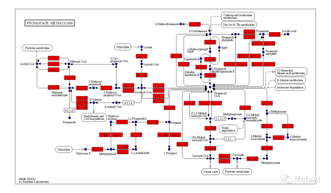 ggkegg：利用图形语法对KEGG数据进行分析和可视化-CSDN博客