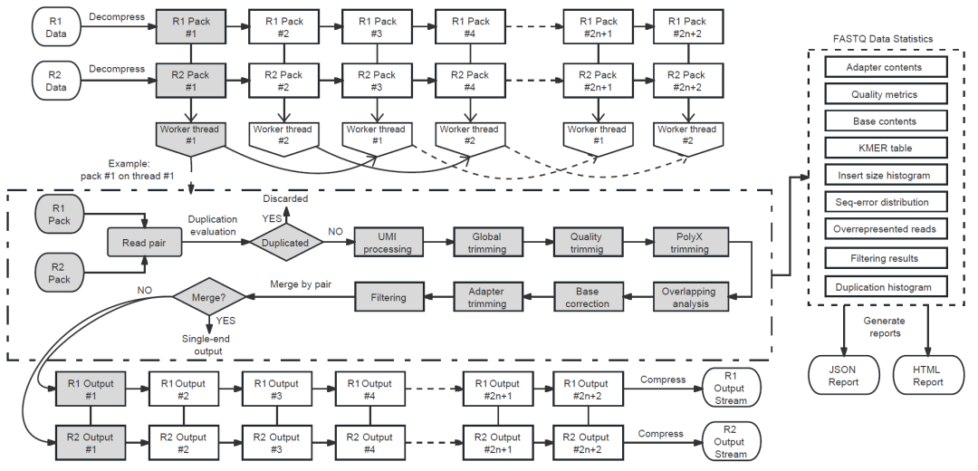 iMeta | 引用7000+，海普洛斯陈实富发布新版fastp更快更好地质控FASTQ数据-CSDN博客