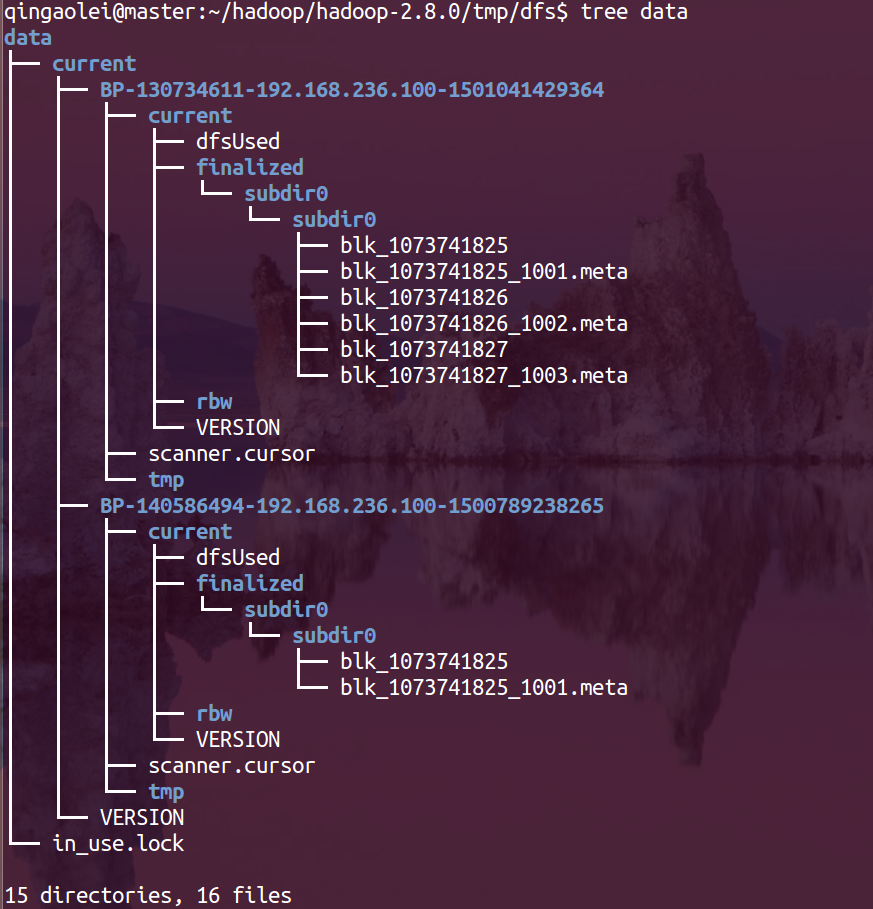 【hdfs基础】hdfs文件目录详解hadoop中namenode和datanod目录结构 Csdn博客