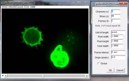 显示三维图片序列_老司机带你解锁ImageJ三维图像分析_weixin_39989190的博客-CSDN博客