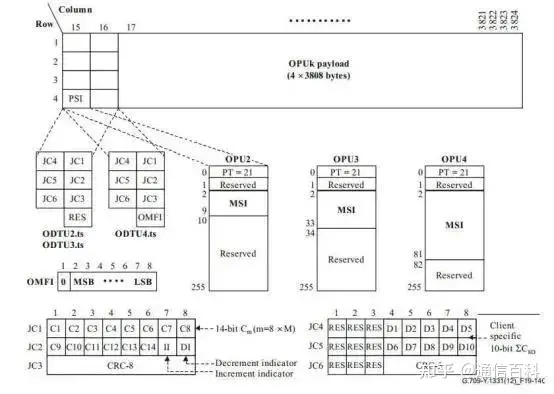 光传送网OTN的速率解析_otn100g帧结构-CSDN博客