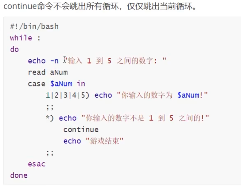 Shell入门-CSDN博客