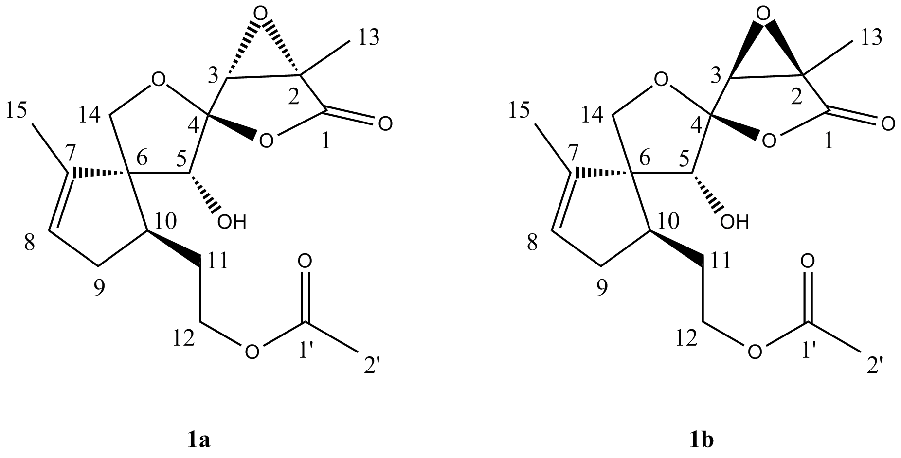 NMR计算_dp4核磁共振计算-CSDN博客