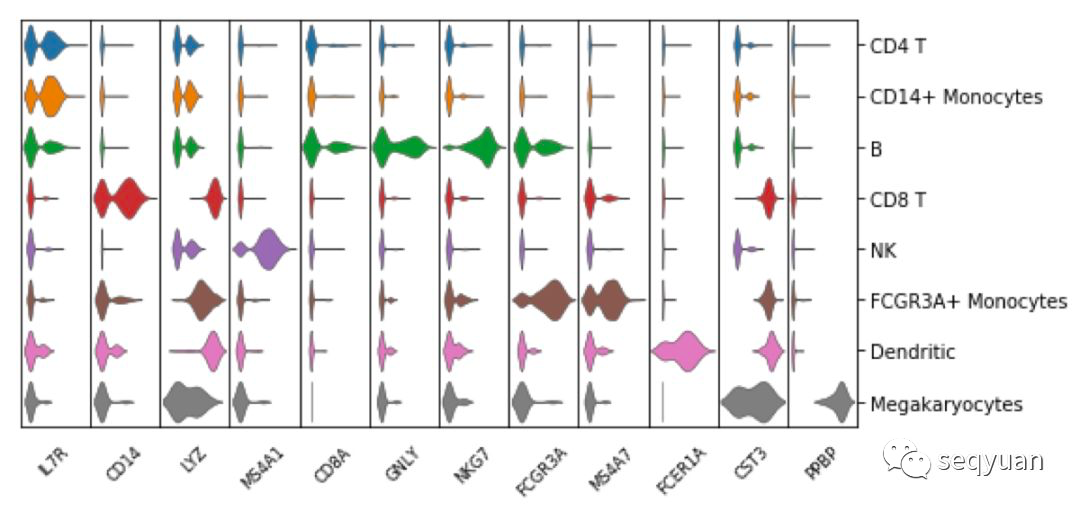 函数实现_R函数实现单细胞StackedVlnPlot-CSDN博客