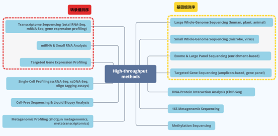 NGS测序分类二三代_ngs分类-CSDN博客