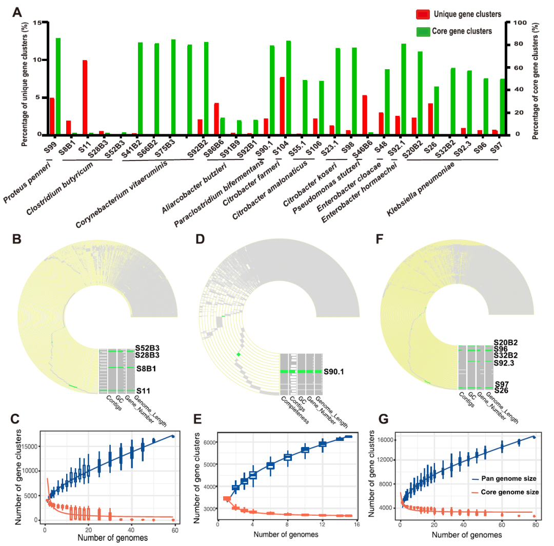 Microbiome | 中国农科院王加启/赵圣国构建微球原位培养方法实现牛瘤胃重要尿素分解菌分离...-CSDN博客