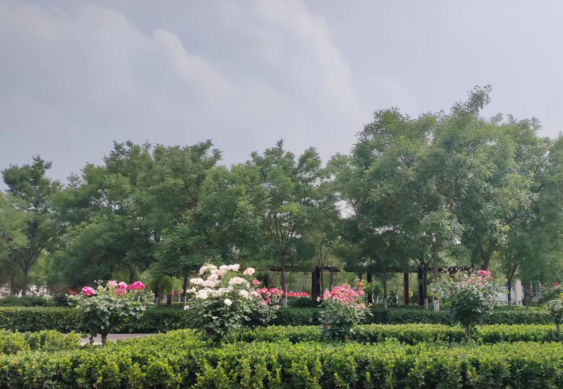 【大模型专区】当SAM遇到Stable-Diffusion_深度学习_AI Studio-百度飞桨星河社区