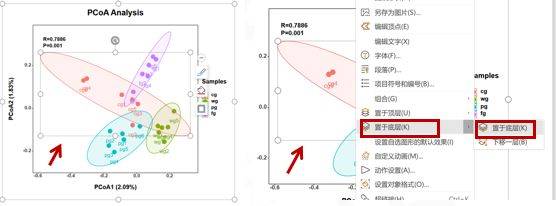 r语言做绘制精美pcoa图_三分钟绘制一张优美的PCoA图 | 云平台-CSDN博客