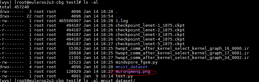 FGSM网络对抗攻击~应用实践案例体验_fgsm攻击车联网-CSDN博客