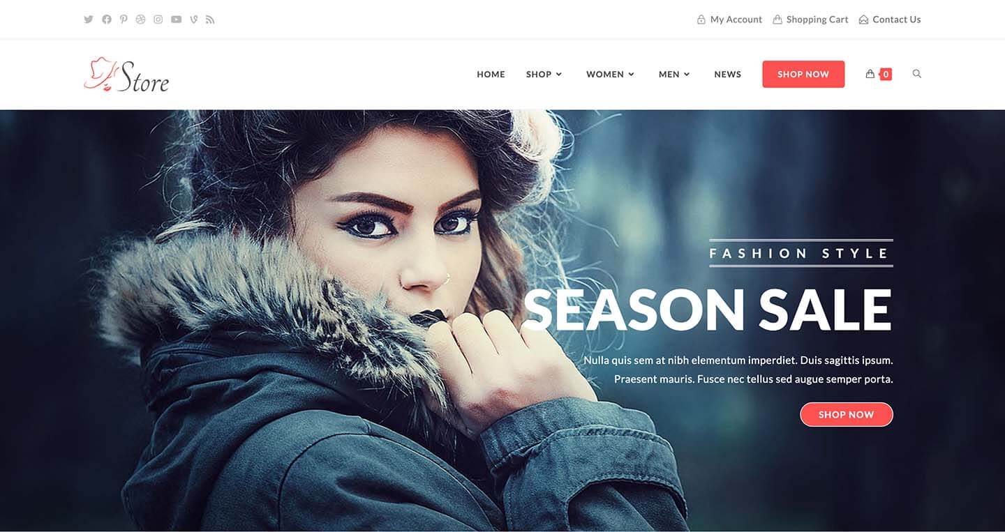 14款免费的OceanWP主题介绍及案例预览-CSDN博客