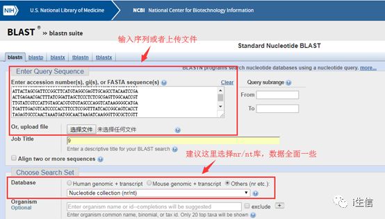 一直在构建版本_利用MEGAX选择模型及构建美化进化树-CSDN博客