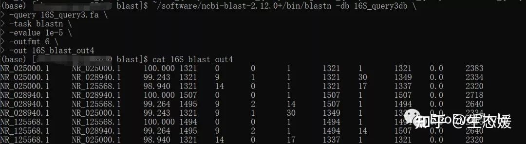 Alignment--本地blast使用详解1-数据库序列检索下载及比对_blast 本地不建库比对-CSDN博客