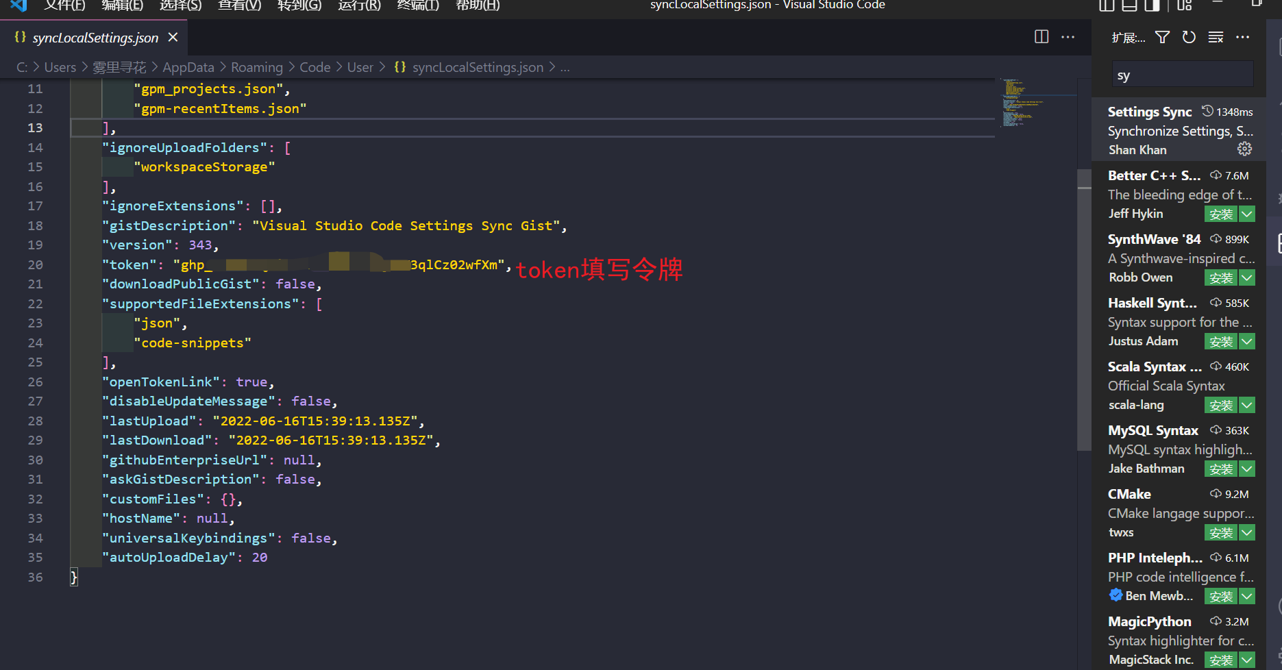 Settings Sync 配置与使用-CSDN博客