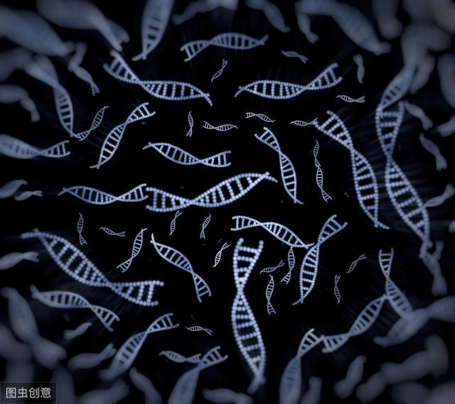 Jdbc限制返回行数第十一章使用jdbc接连数据库实现mysql增删查改 Csdn博客